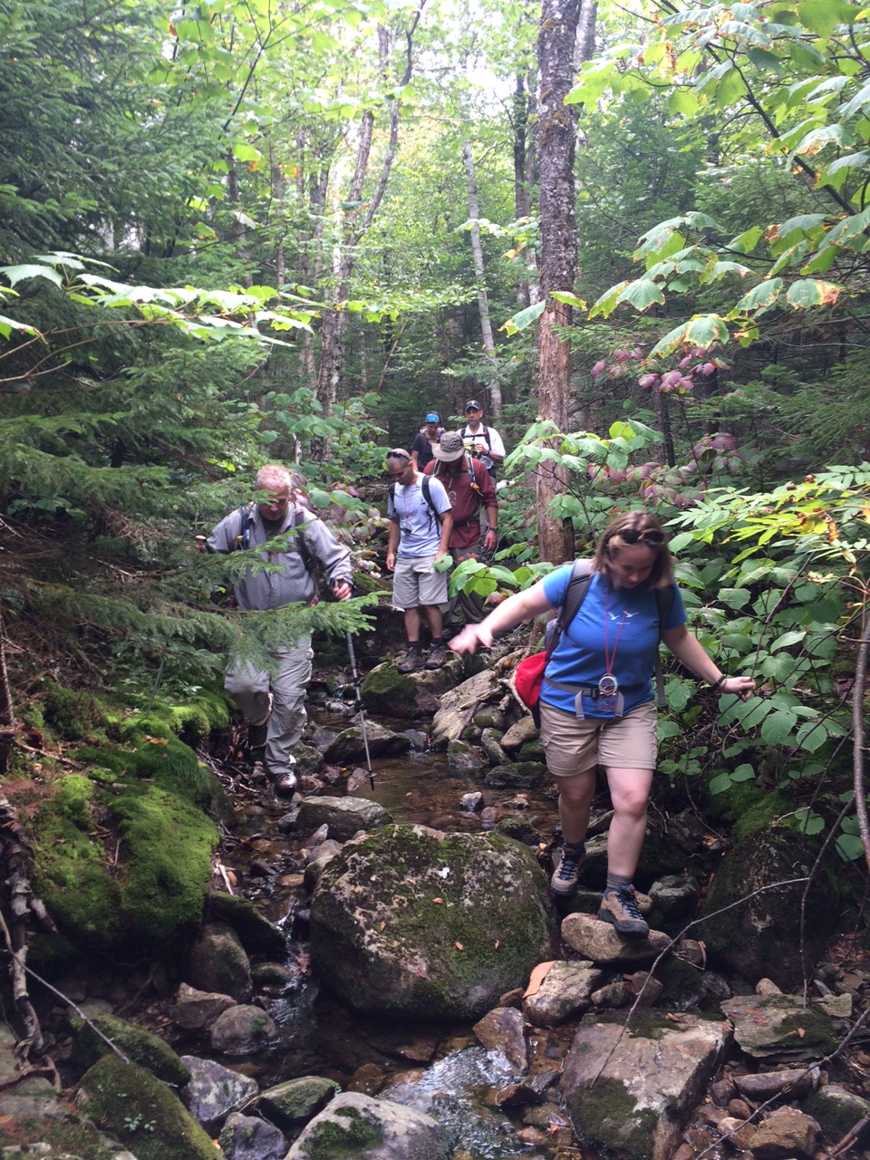 Wilderness Navigation Course- AMC Pinkham Notch | Northeast Alpine Start