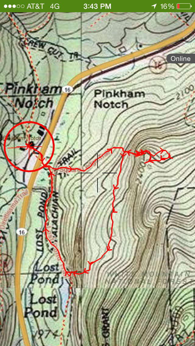 Wilderness Navigation Course- AMC Pinkham Notch | Northeast Alpine Start